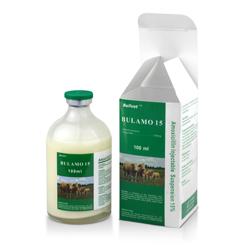 Amoxicillin Injectable Suspension,Antibacterial drugs,Bullvet,Bullvet