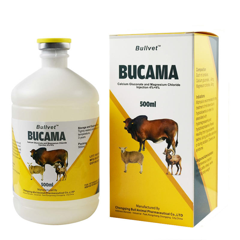 Calcium Gluconate & Magnesium Chloride Injection,Nutritional drugs ...
